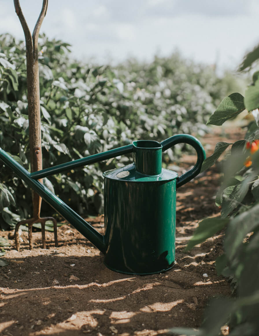Haws Watering Cans - Together